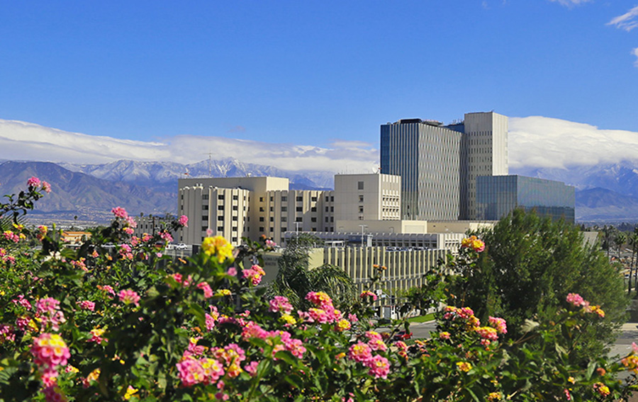 Insider view: a visit to the future A Level | News