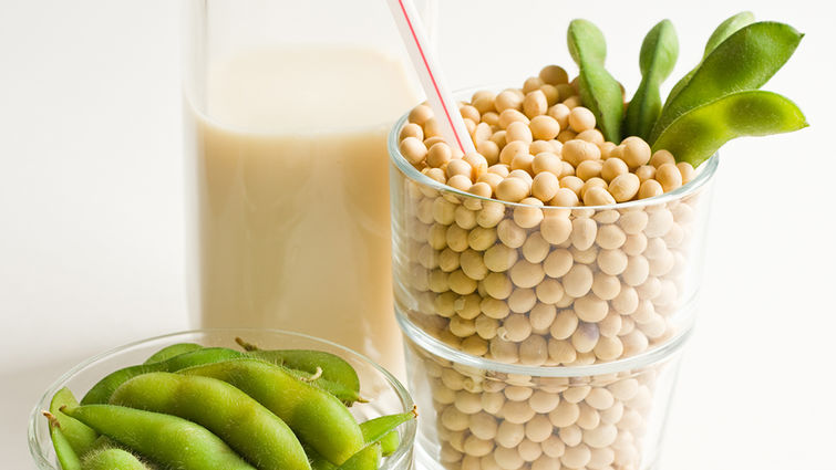 Loma Linda University Health seeks paid participants for fermented ...