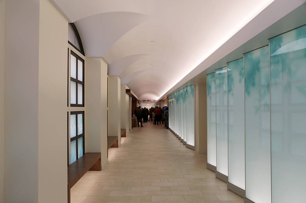 Grand Hallway makes a grand entrance | LLUH News