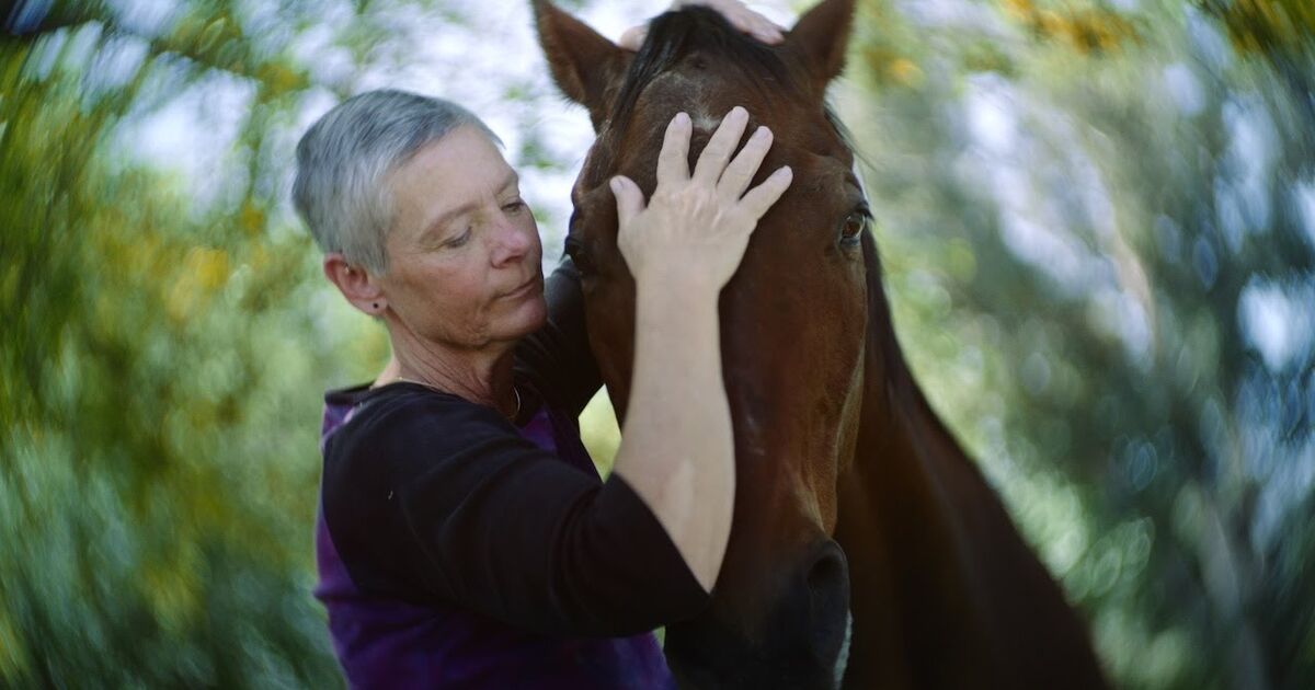 One woman, one trial, one team: advancing the future of breast cancer ...