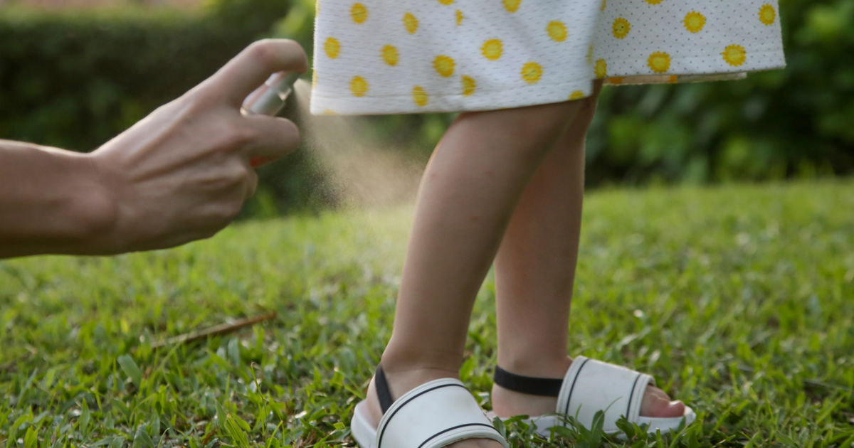 Insect repellent and your kids: what to look for and what to avoid | News