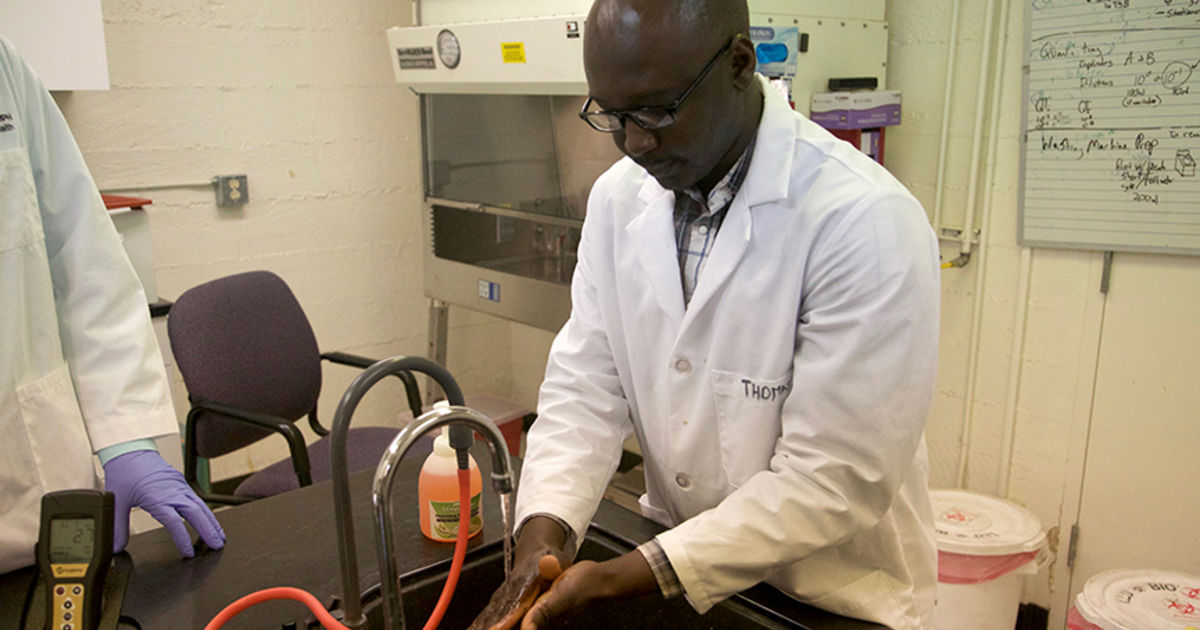 Professor Sinclair’s chief prescription for staying healthy during flu ...