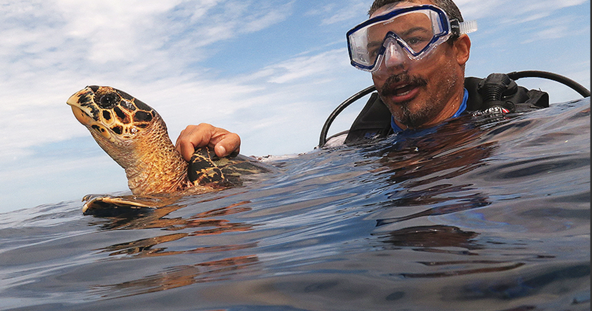 LLU professor Dunbar selected president of International Sea Turtle ...